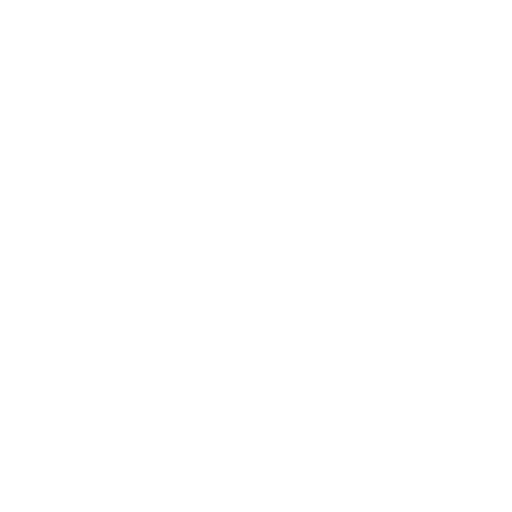 Conventional Branch